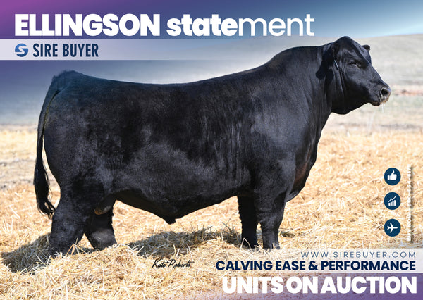 Ellingson Statement - 50 units – Sire Buyer Auctions