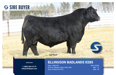 Sire Buyer Live - Embryos, Bull Semen & Livestock Online Auctions ...